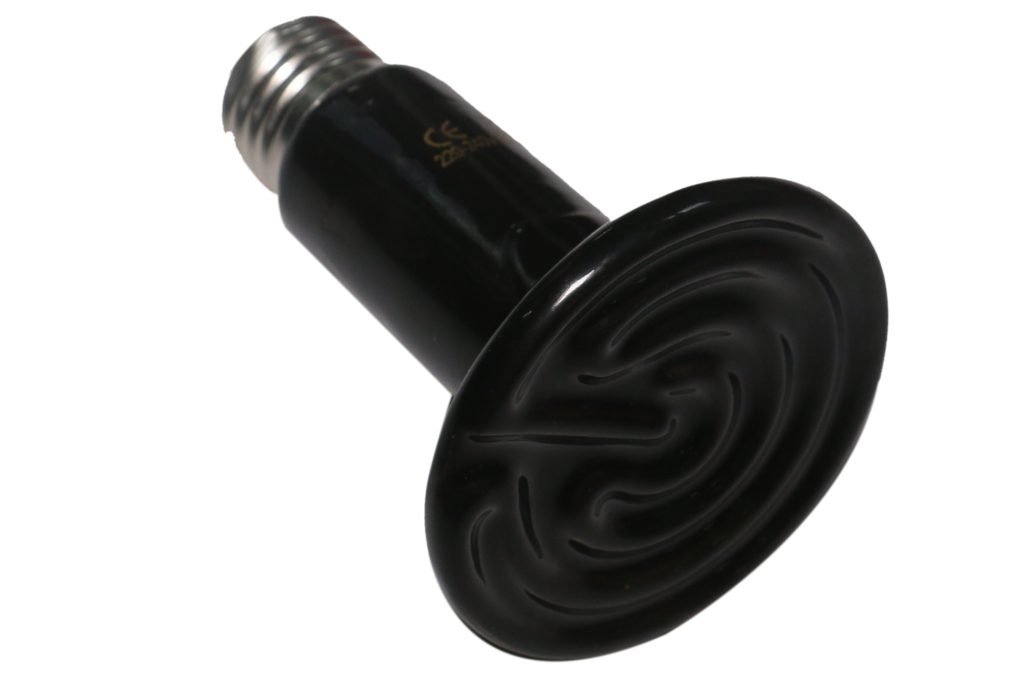 Ceramic Brooding bulb - Poultry Farming Products & Chicken Supplies in ...